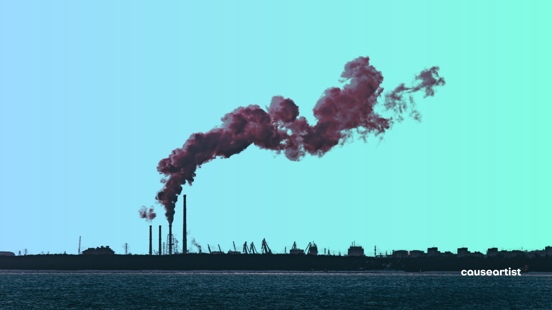 11 Carbon Credit Platforms Redefining the Climate Economy – Causeartist